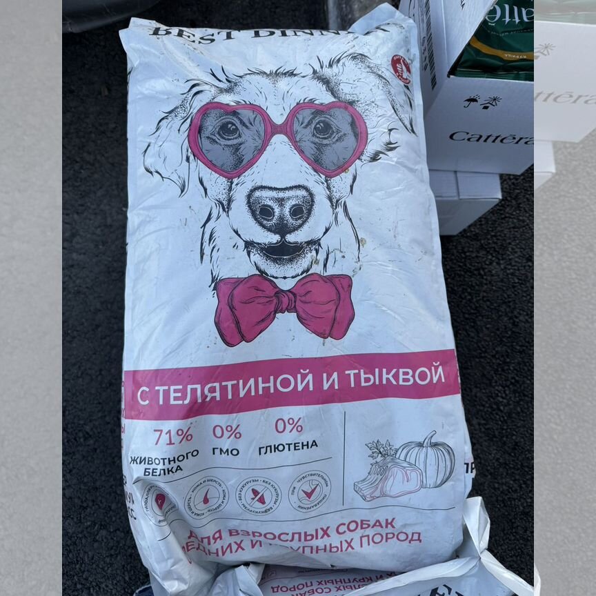 Корм для собак