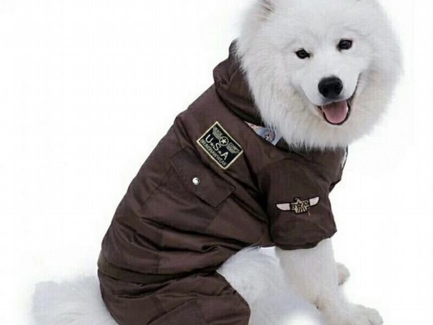 Зимний комбинезон для собаки