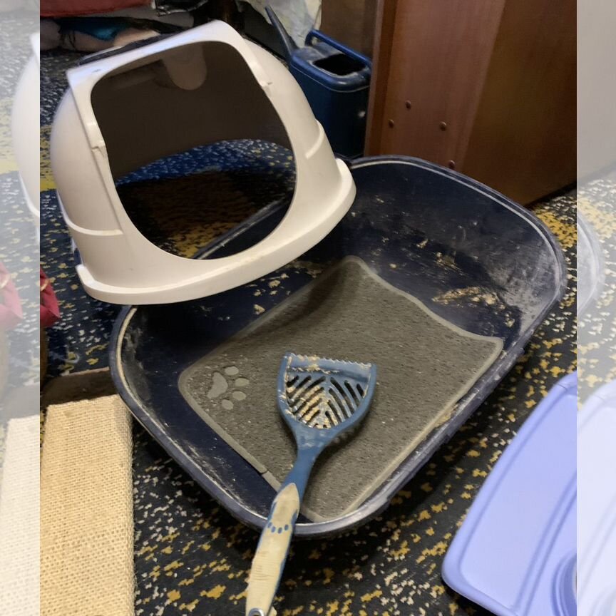 Туалет для кошек и небольших собак