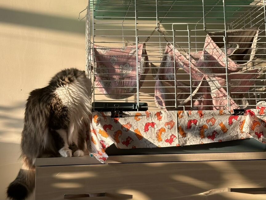 Клетка R2-2 для грызунов (крыс, шиншиллы)