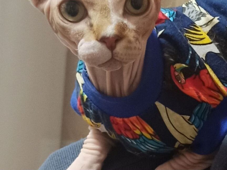 Эльфик