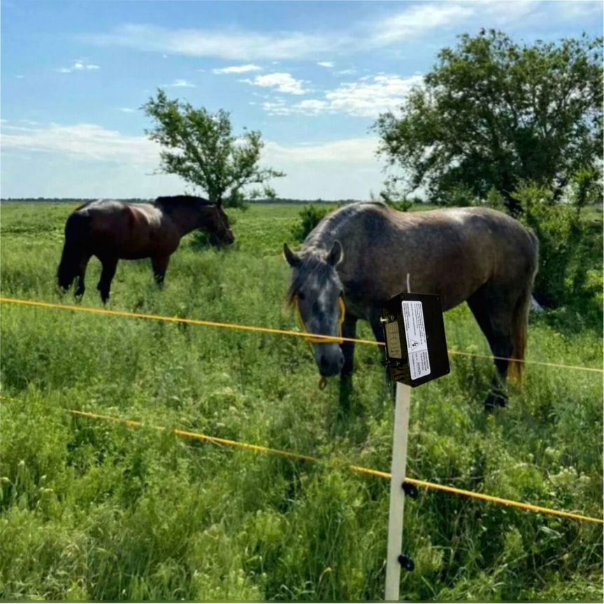Электропастух с гарантией