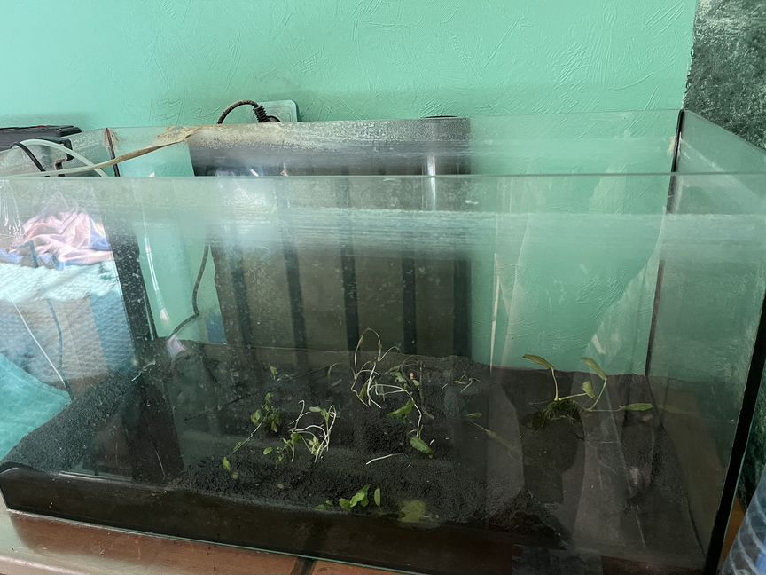 Аквариум 100 литров