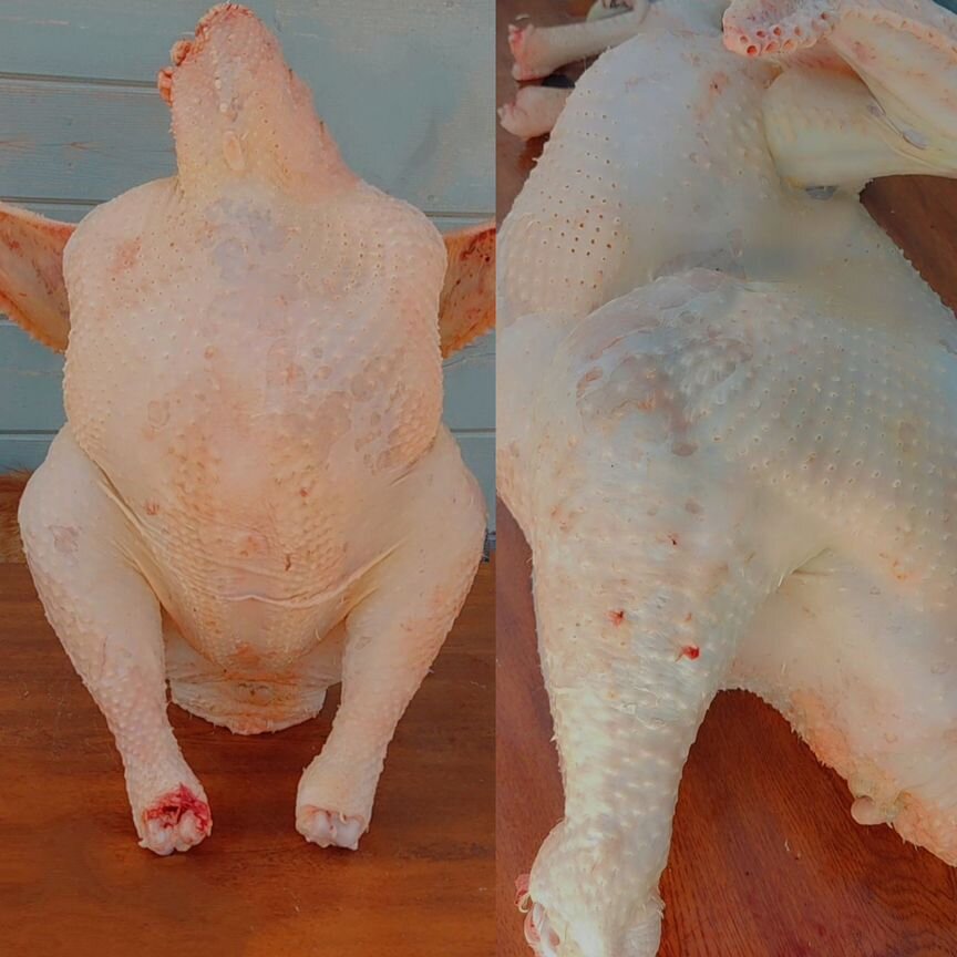 Индюки на мясо