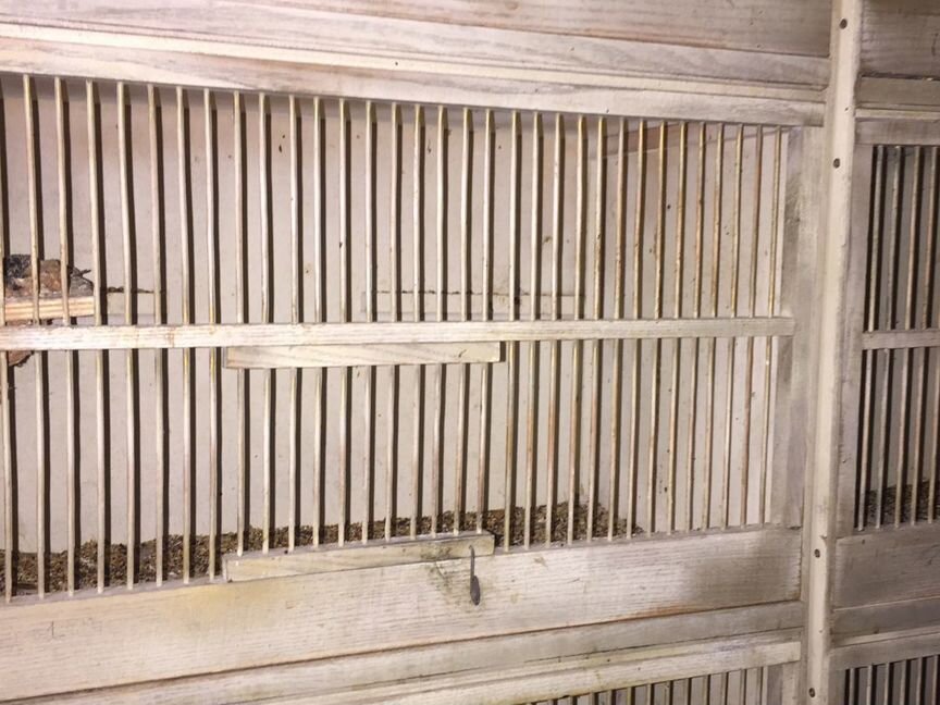 Клетка шкаф для птиц,канареек