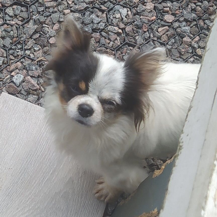 Подрощенный парень