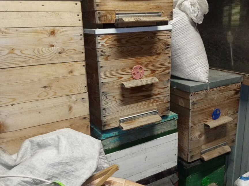 Улей для пчел