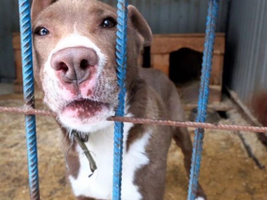 Тимон, ни кому не нужен