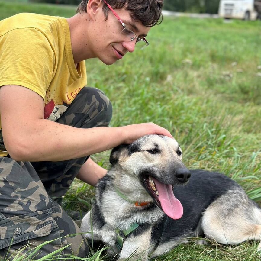 Милашка из приюта в добрые руки