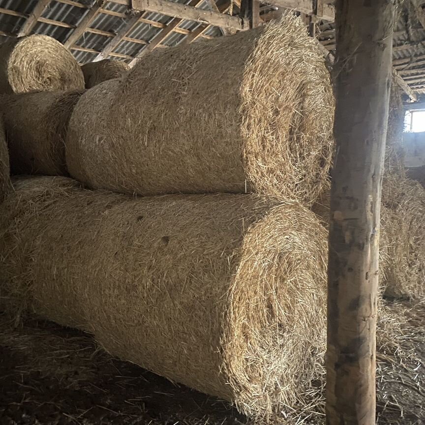 Солома в рулонах и тюках