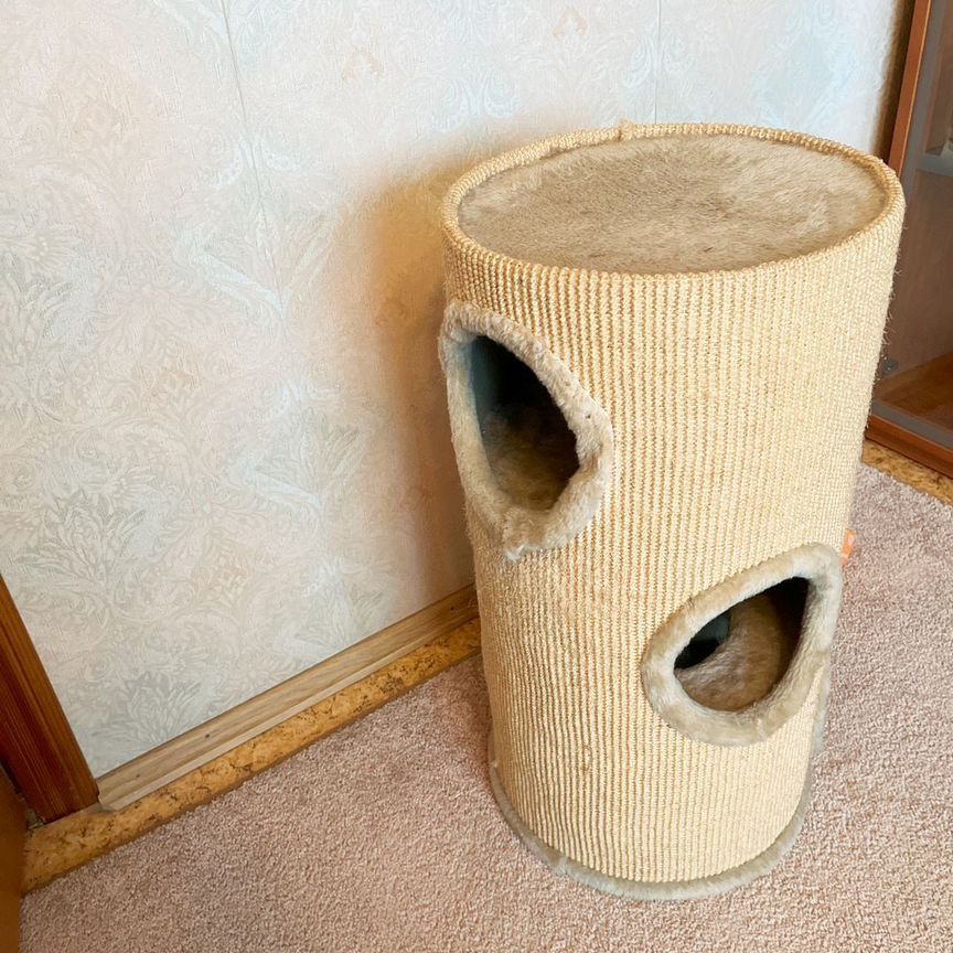 Когтеточка