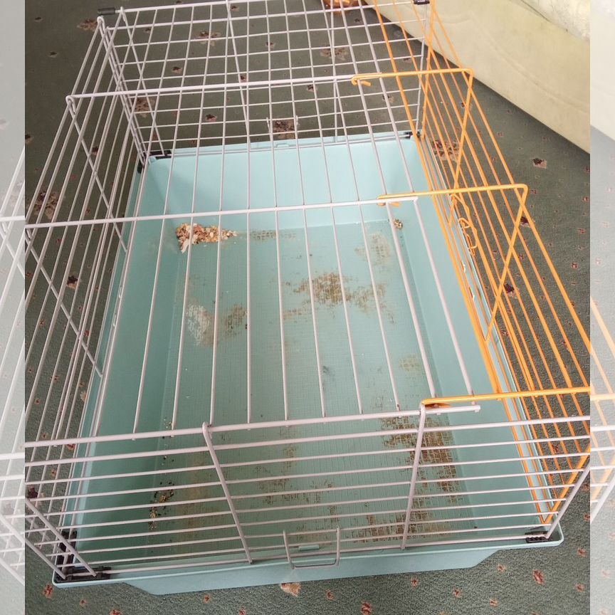 Клетка для грызунов большая Ferplast Rodents