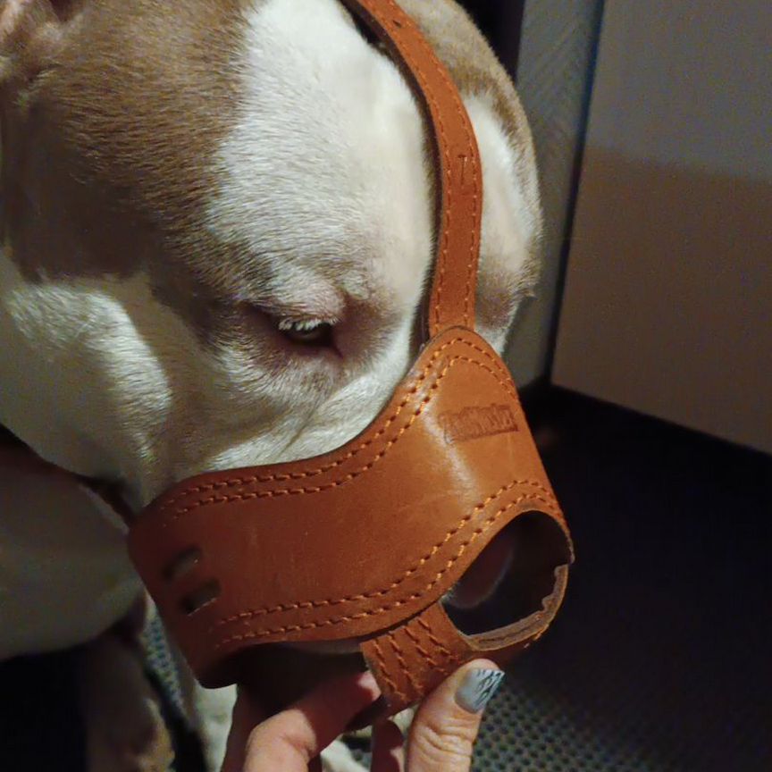 Намордник для большой собаки ZooMaster 7