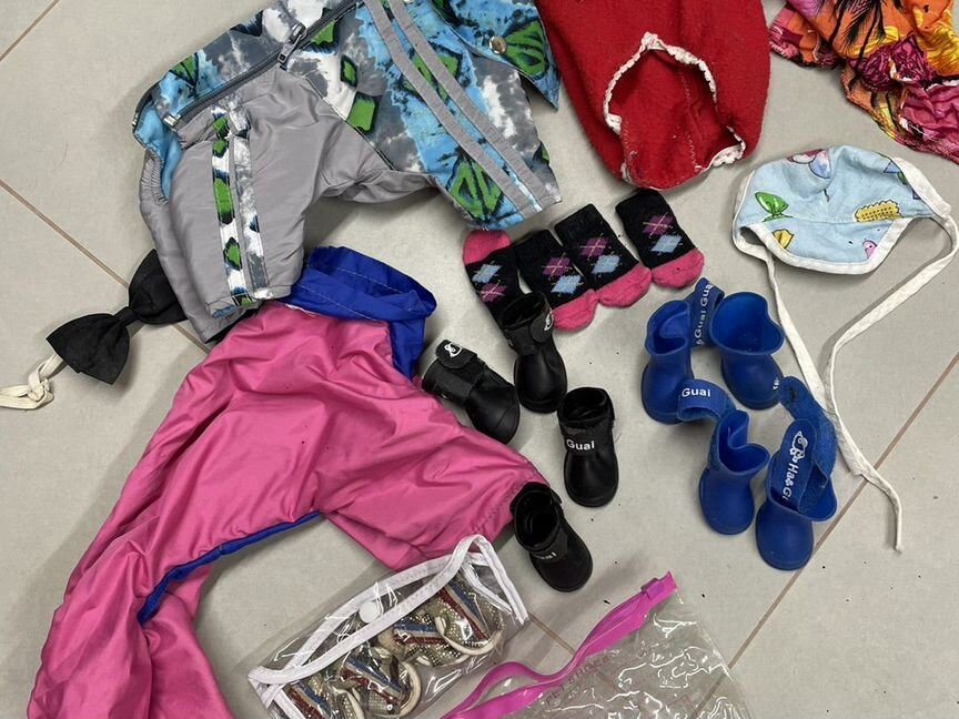 Одежда и обувь на собаку