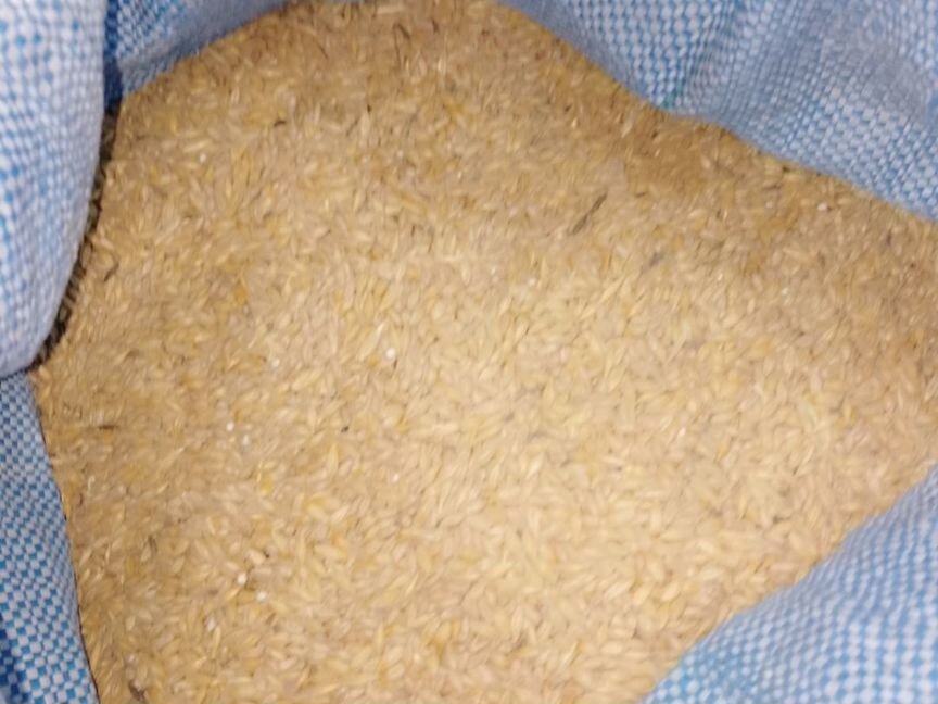 Корма для животных