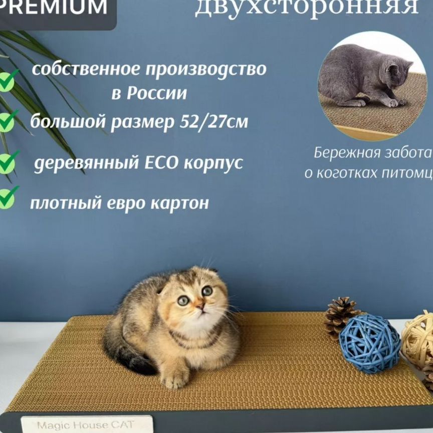 Когтеточка новая