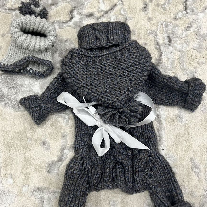 Одежда дня маленьких собак