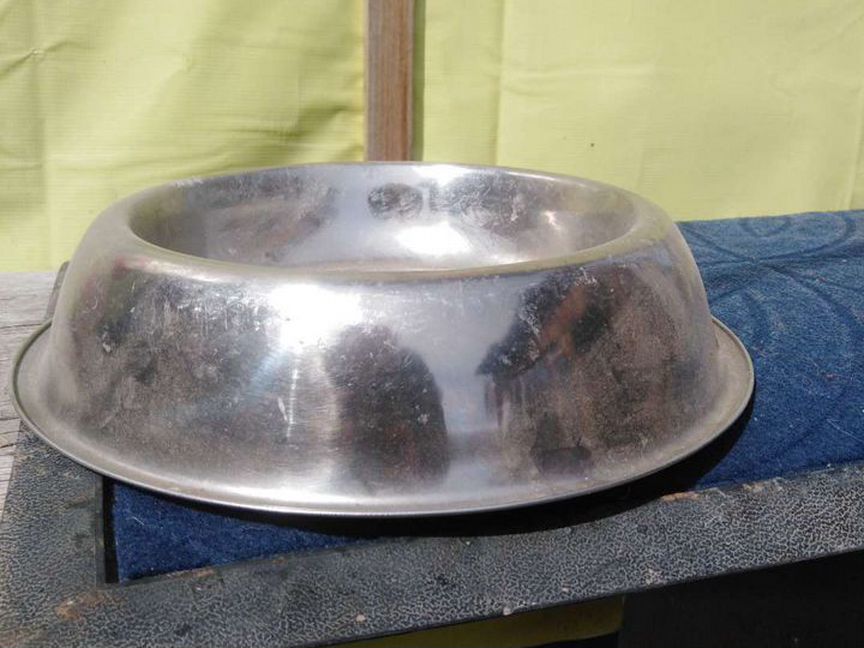Миска собачья