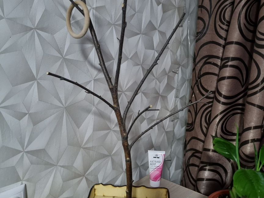 Присада для попугая