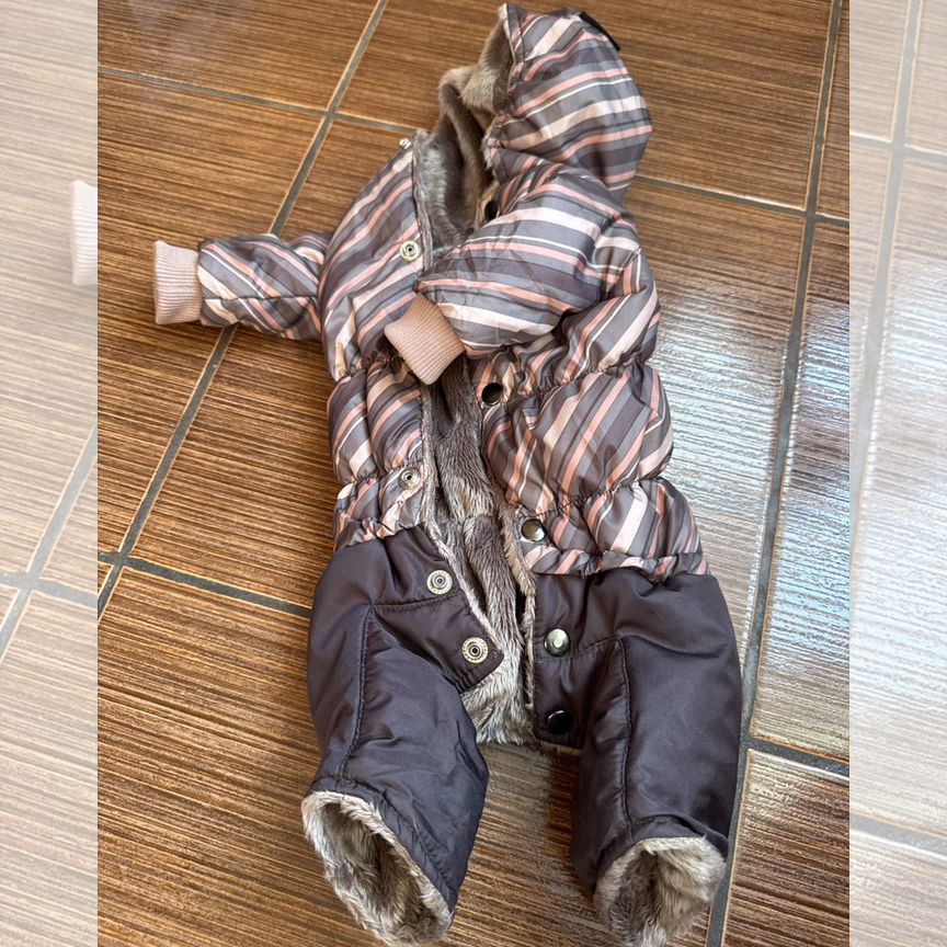 Взрослая собака от частного владельца