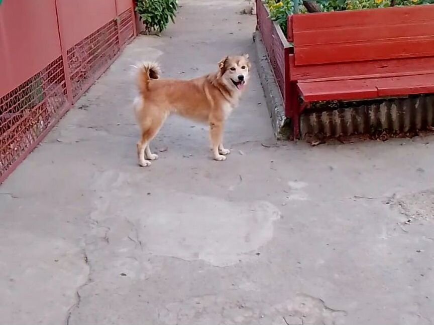 Ситуация. Спасите Маску