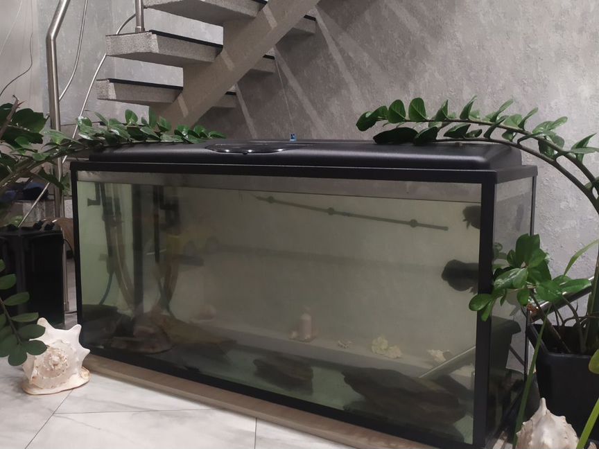 Аквариум на 500 литров
