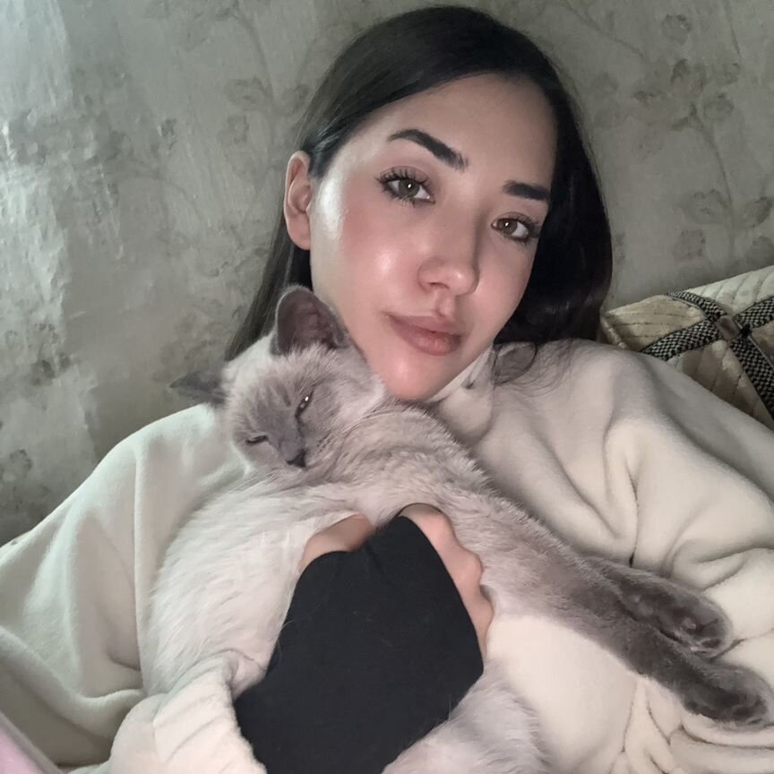 Сиамский котёнок