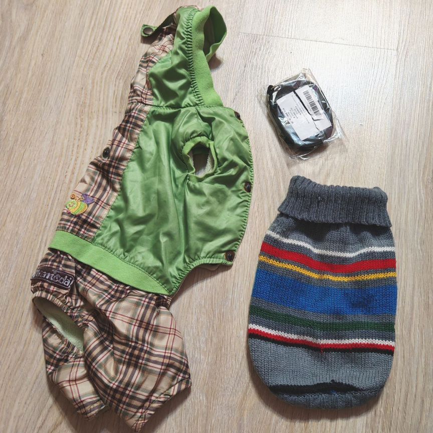 Одежда для маленьких собак и поводок