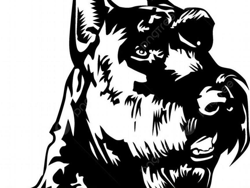 Щенки ризеншнауцера