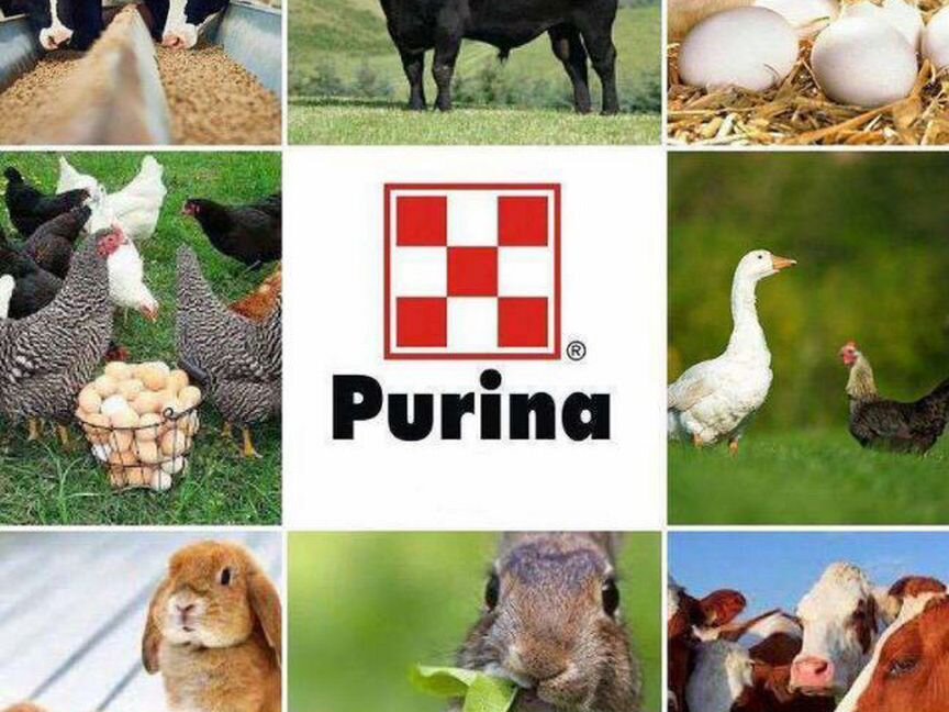 Корма Пурина