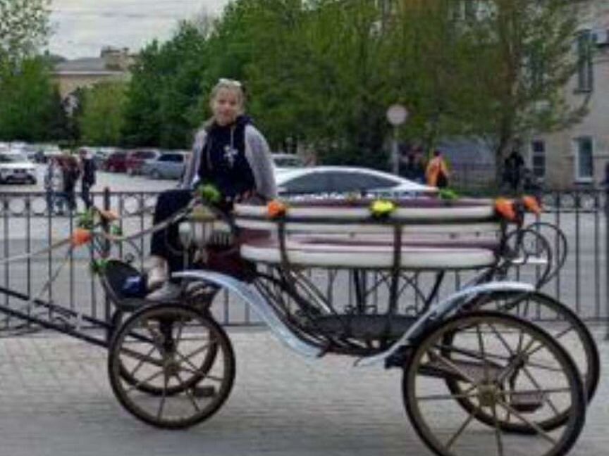 Карета для лошади и пони