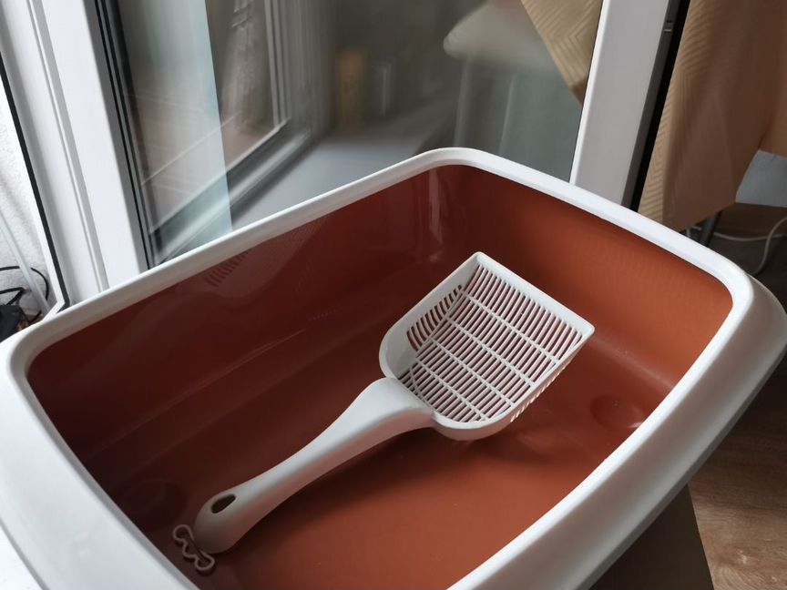 Лоток для кошек + совок