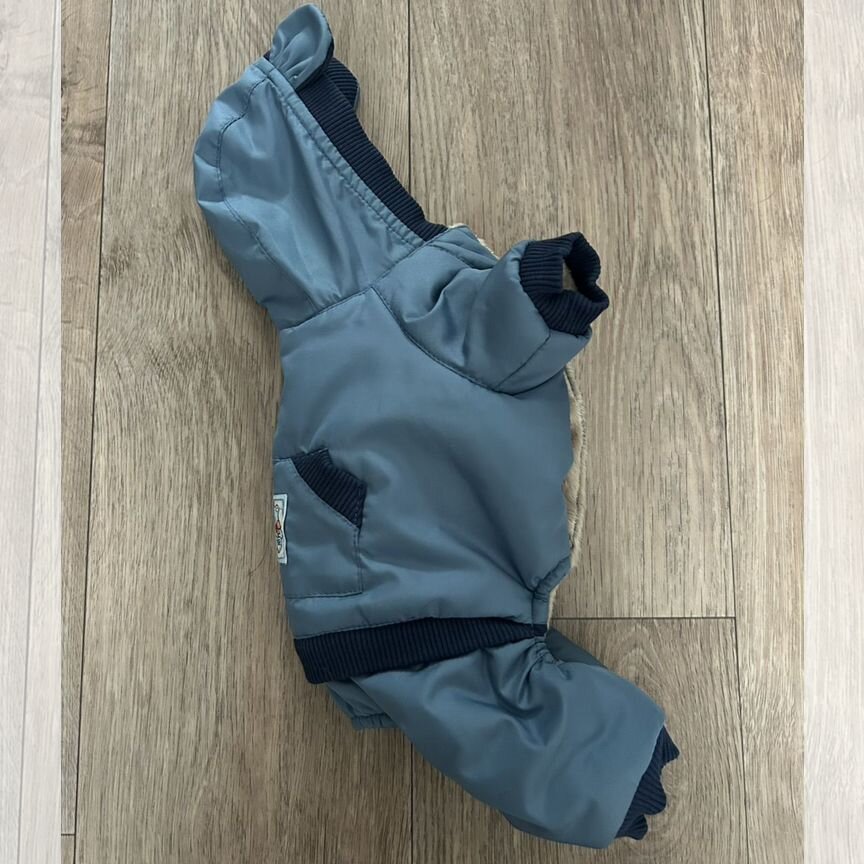 Одежда для собак