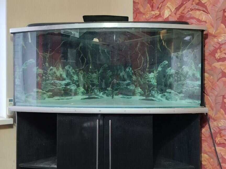 Угловой аквариум 310 литров, стекло