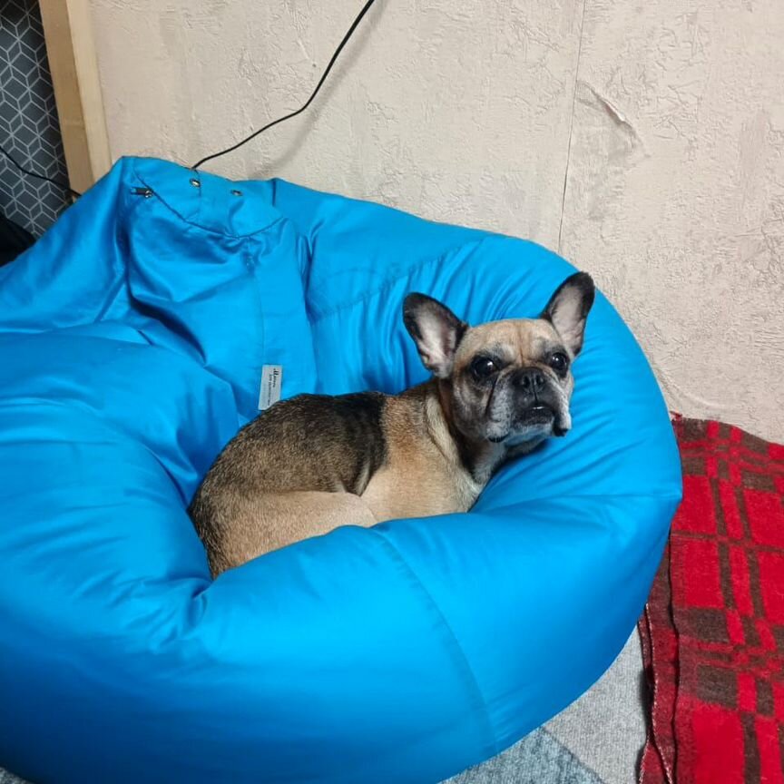 Тина в поисках семьи