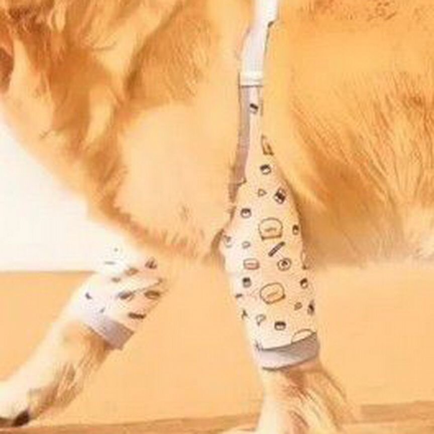 Штанишки прогулочные и послеоперационные