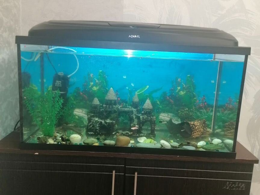 Аквариум 100 л с тумбой