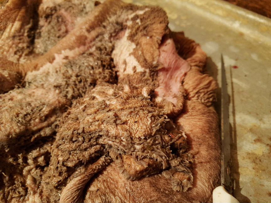 Кости для собак, обрезки говяжьи,рубец, требуха