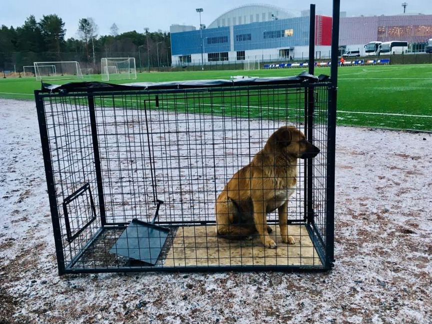 Собаколовка, котоловка