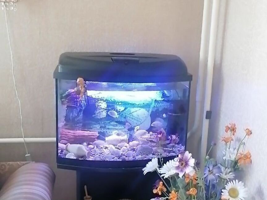 Аквариум с тумбой и рыбками с подсветкой