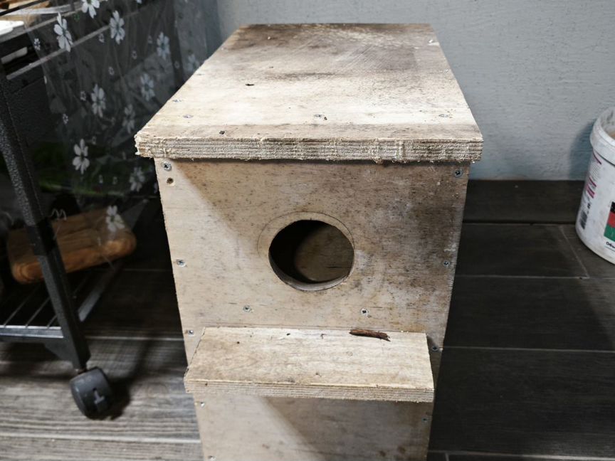 Бельчатник, скворечник, домик