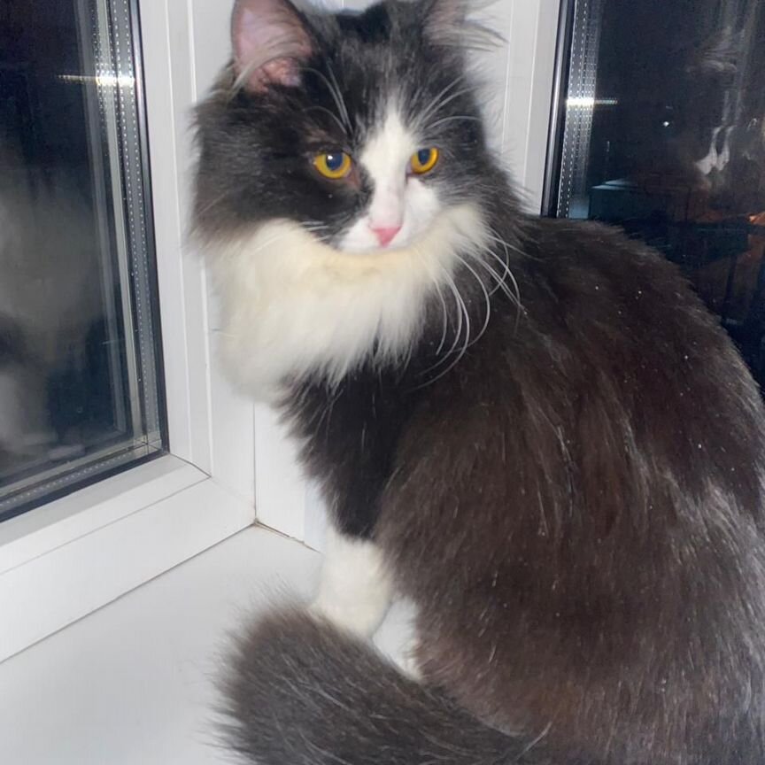 Малышке придётся вернуться на улицу