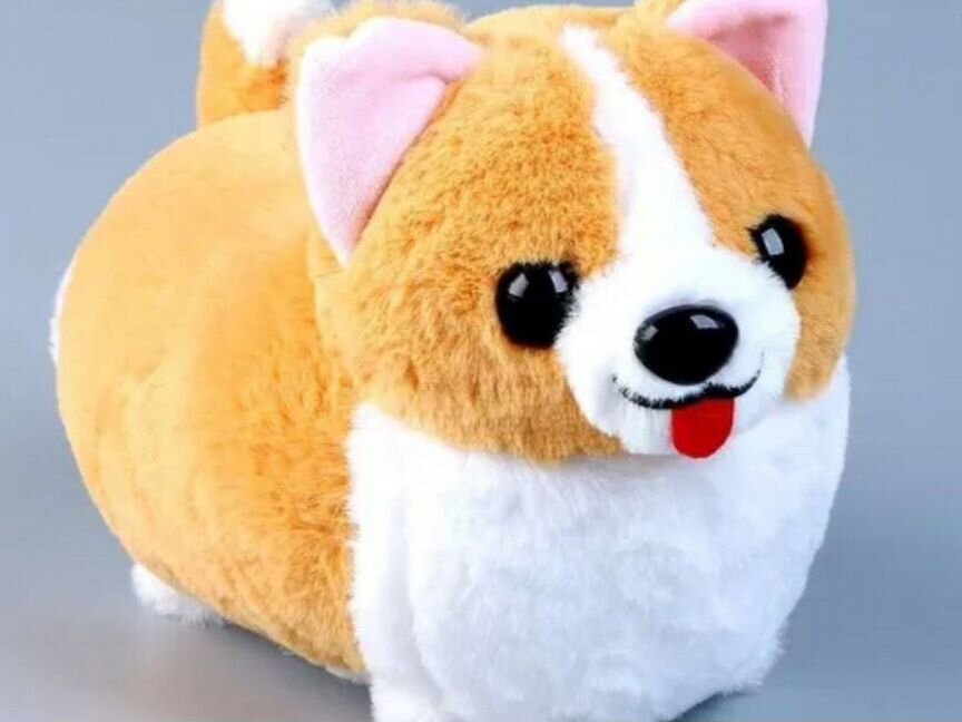 Корги Собака