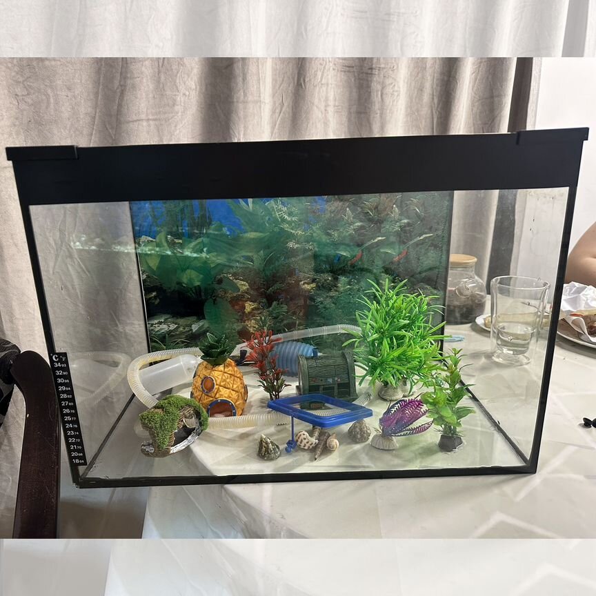 Аквариум и рыбка