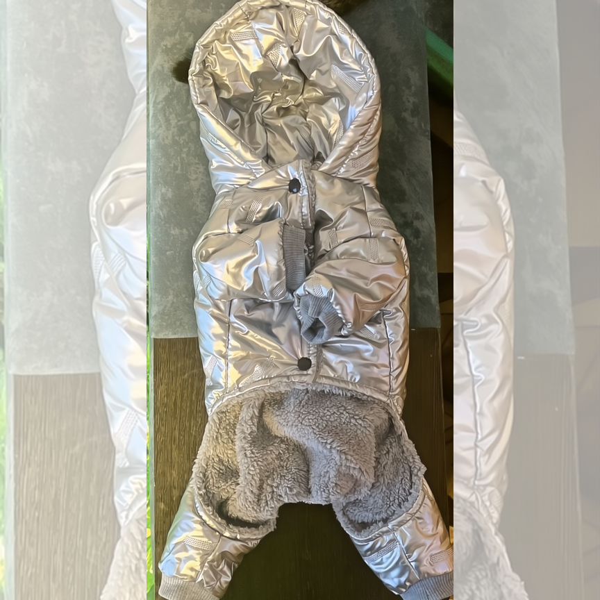 Одежда для собак мелких пород