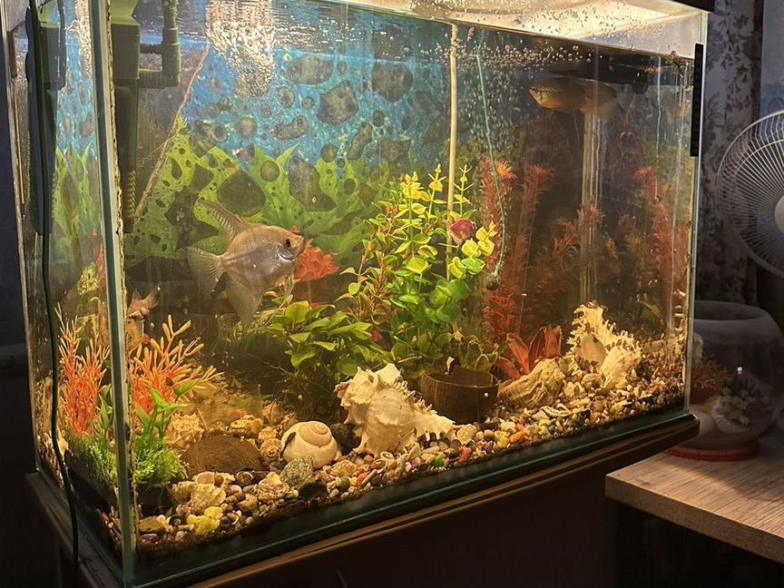 Аквариум с тумбой 100л