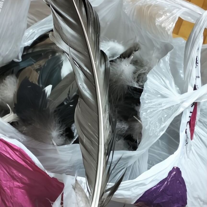 Перо гусиное пакетом