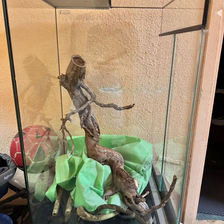 Террариум для хамелеона