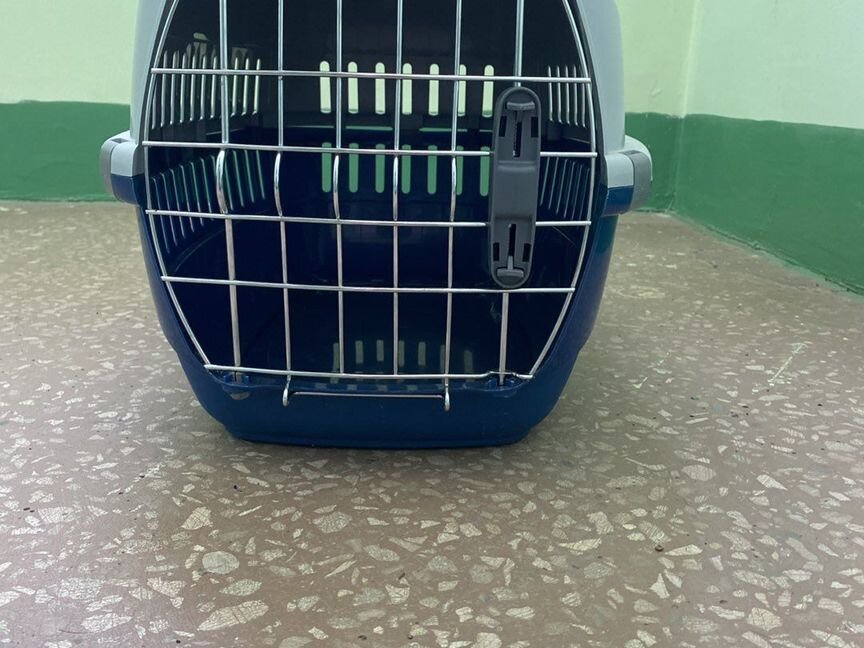 Переноска для кошек и маленьких собак