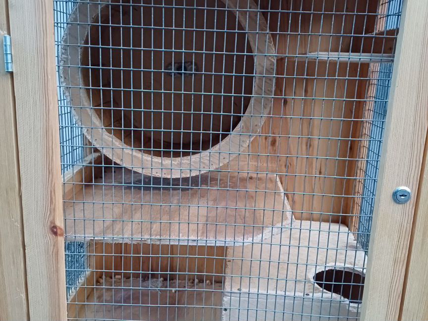 Клетка для шиншиллы бу